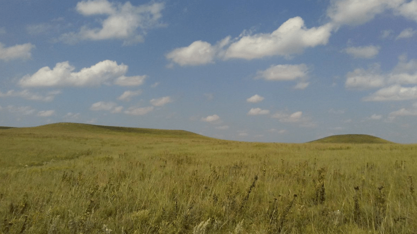 Massive, Kansas — John Trefry – minor literature[s]